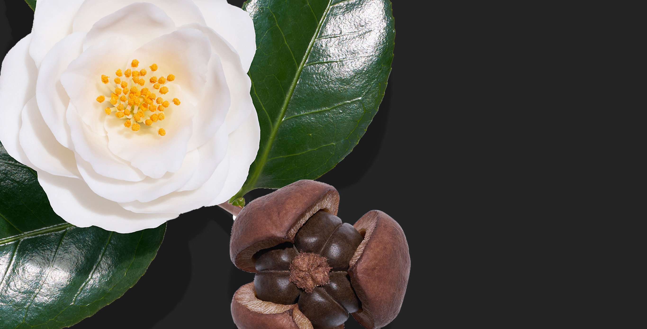 Ultimune Power Infusing Serum for Men| SHISEIDO